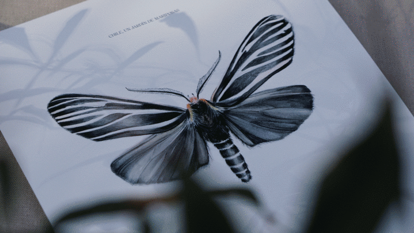 Online Course - Illustrated Travel Sketchbook: Recording Nature ...