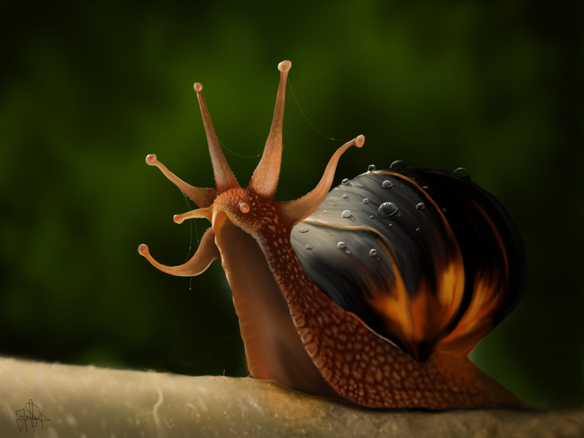 El caracol Rey - Pintura digital realizada con los dedos en el Ipad ...